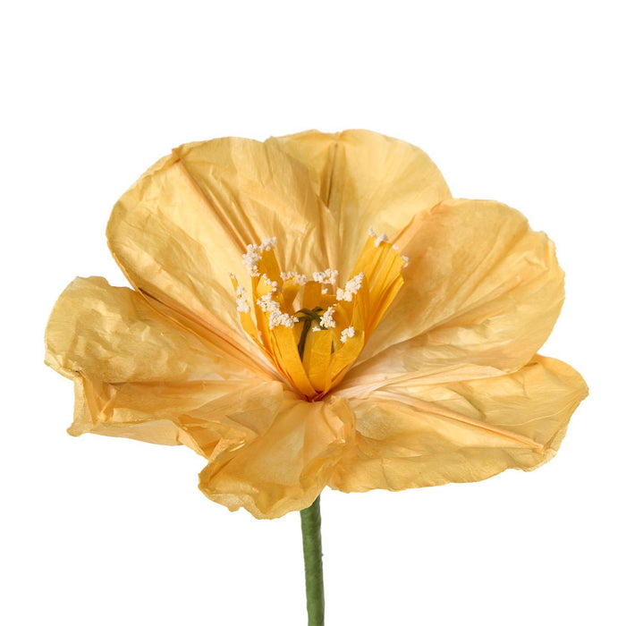 Paper Flowers, 3 Colors and Sizes — The Polka Dot Press